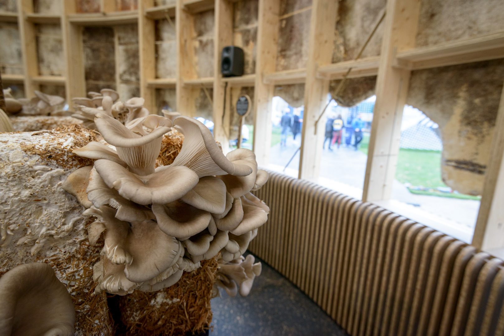 The Growing Pavilion | Fiction Factory